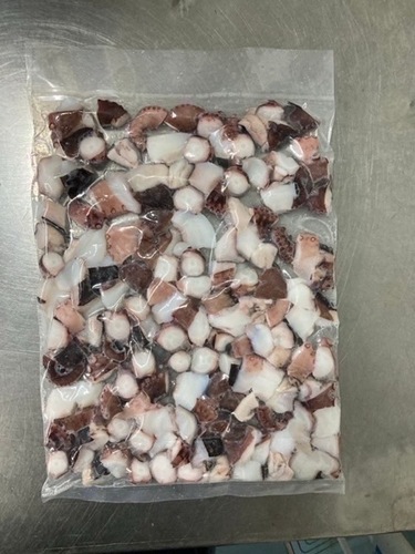 タコ約10kg | UUUO(ウーオ)