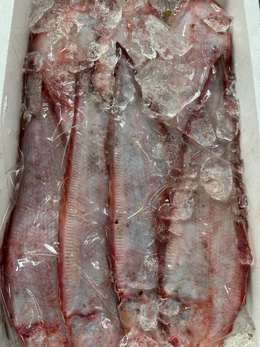 アカシタビラメ6入約2kg(底曳)【業務用の鮮魚仕入れならウーオ】