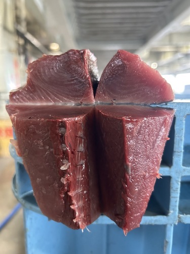 カツオ4入約11kg【業務用の鮮魚仕入れならウーオ】