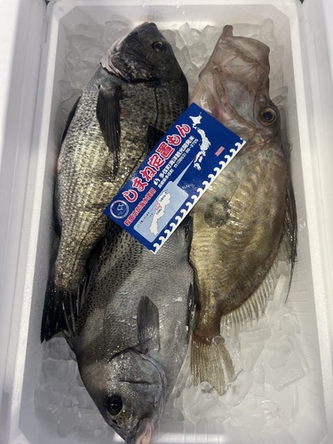 鮮魚BOX約3.8kg(定置)【業務用の鮮魚仕入れならウーオ】