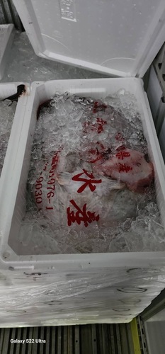 アンコウ(腹抜き)6/8k3入約6kg(底曳)【業務用の鮮魚仕入れならウーオ】