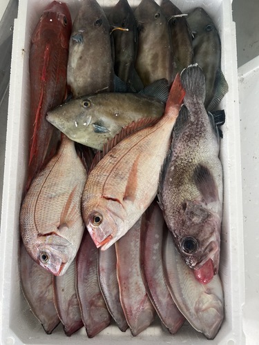 鮮魚BOX約5.1kg(底曳)【業務用の鮮魚仕入れならウーオ】