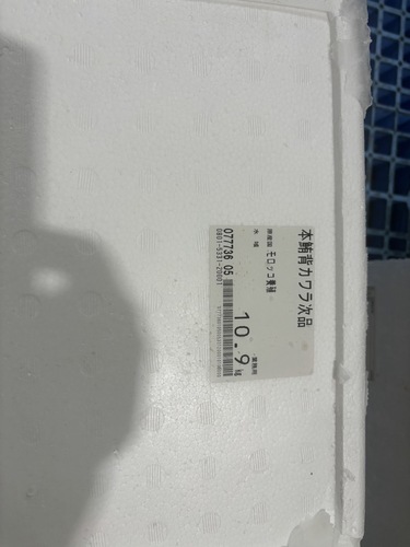 本マグロ（冷凍）約8kg【業務用の鮮魚仕入れならウーオ】