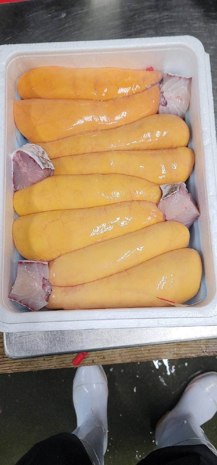 ボラ子【業務用の鮮魚仕入れならウーオ】