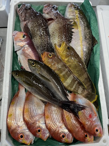 鮮魚BOX⑤約4.5kg(釣) | UUUO(ウーオ)