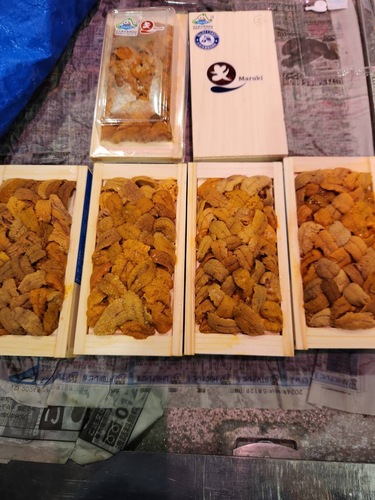 バフンウニ（板）10入約1kg | UUUO(ウーオ)