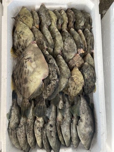 鮮魚BOX約4.5kg(定置)【業務用の鮮魚仕入れならウーオ】