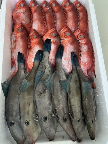 鮮魚BOX約5.1kg(底曳) | UUUO(ウーオ)