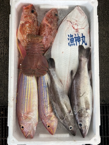 鮮魚BOX約4.1kg(底曳) | UUUO(ウーオ)