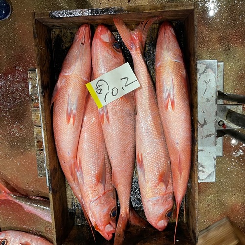 UUUO(ウーオ) | 100以上の漁港・市場から安定した仕入れが可能