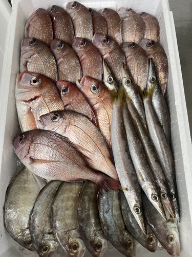 鮮魚BOX約5.1kg(底曳)【業務用の鮮魚仕入れならウーオ】