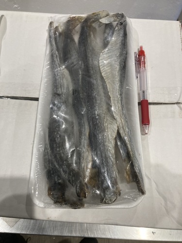 ニシン200gパック30入約6kg【業務用の鮮魚仕入れならウーオ】