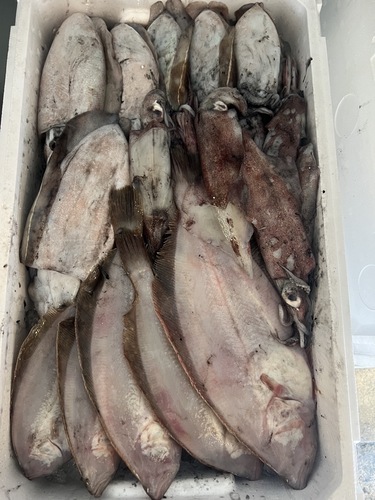 鮮魚BOX約5.2kg【業務用の鮮魚仕入れならウーオ】