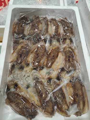 コウイカ7-10尾約3kg(定置)【業務用の鮮魚仕入れならウーオ】