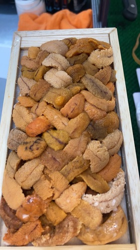 バフンウニ（板）10入約1kg | UUUO(ウーオ)