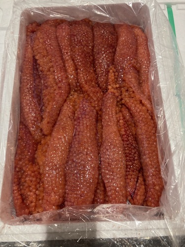 筋子3k2合約6kg | UUUO(ウーオ)