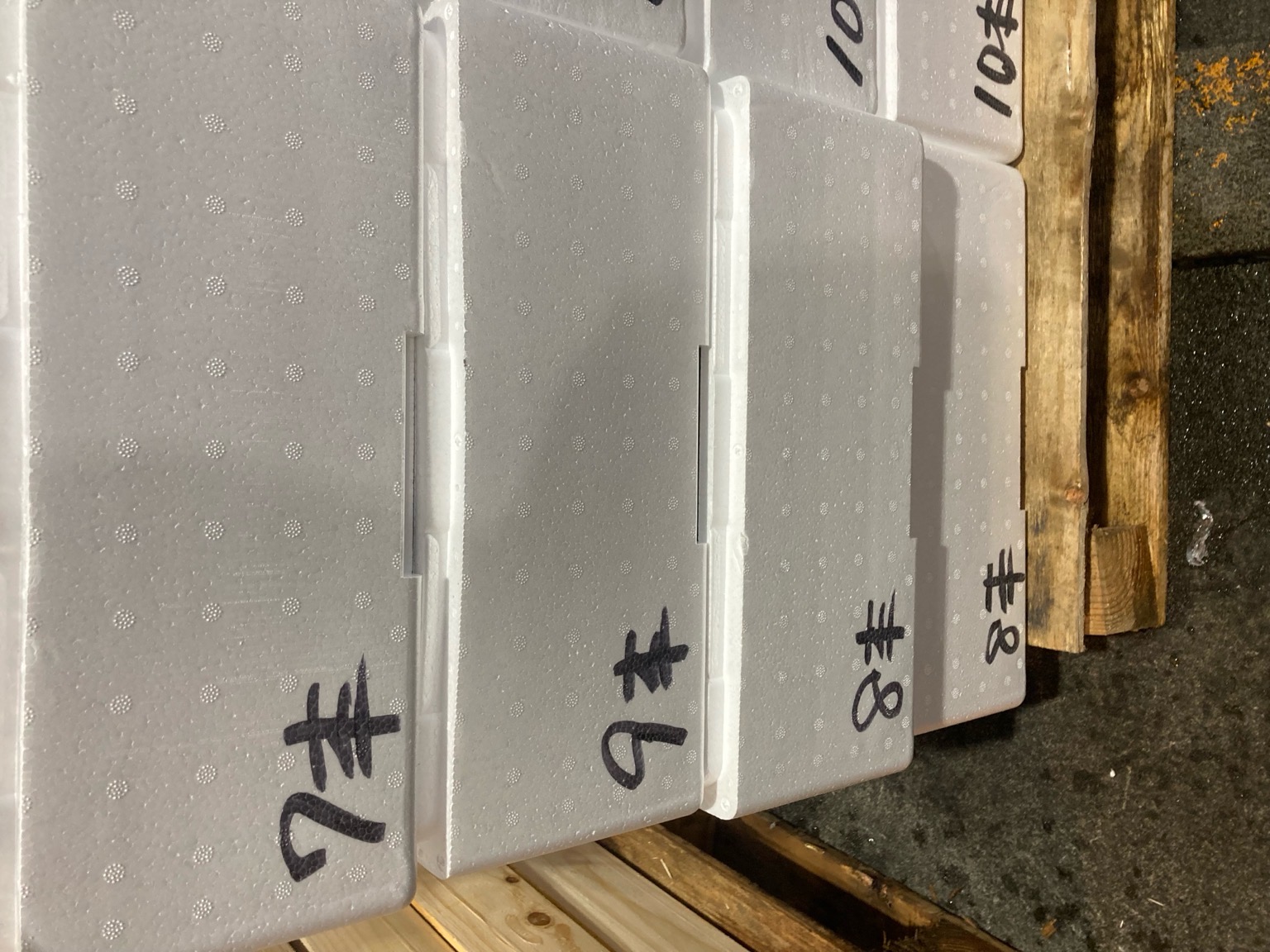 ミズダコ7-10本約10kg【業務用の鮮魚仕入れならウーオ】