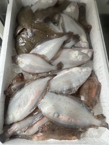 鮮魚BOX約4.3kg(底曳)【業務用の鮮魚仕入れならウーオ】