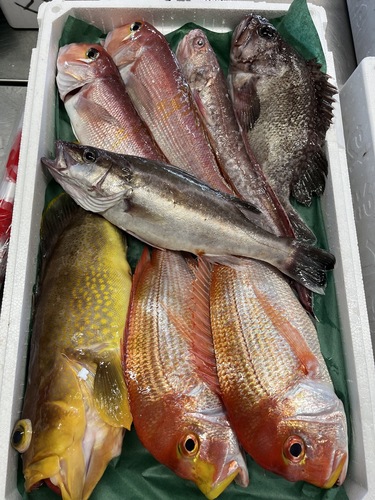 鮮魚BOX⑧約4.5kg(底曳)【業務用の鮮魚仕入れならウーオ】