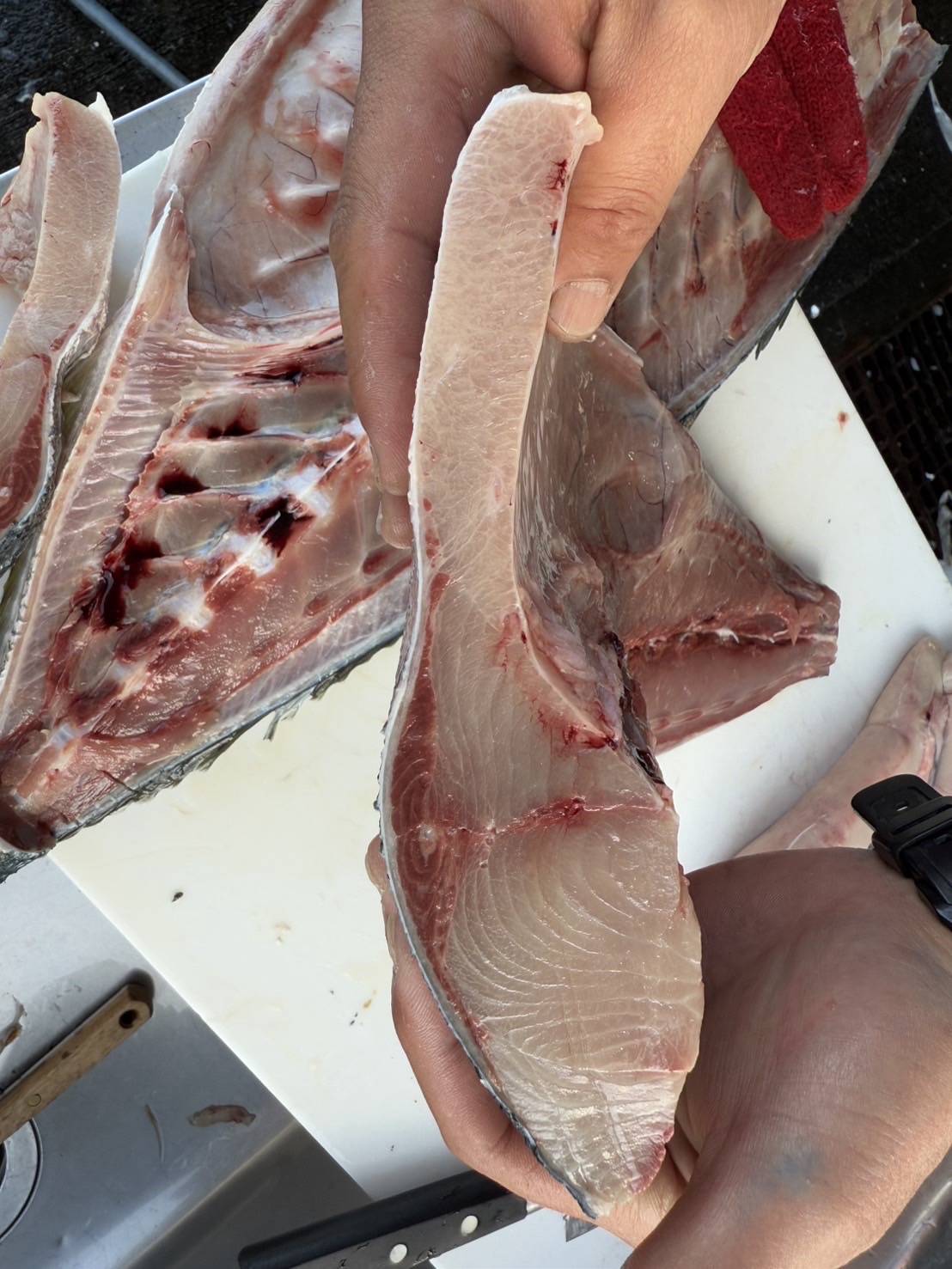 ブリ6/7k1入約6.5kg(定置)【業務用の鮮魚仕入れならウーオ】