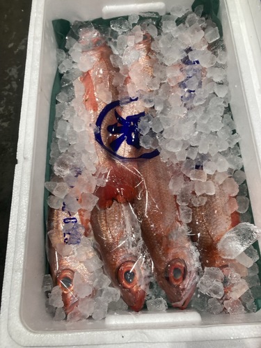 赤ムツ6入約3.2kg(釣)【業務用の鮮魚仕入れならウーオ】