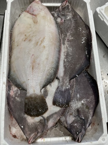 鮮魚BOX約5.2kg(底曳)【業務用の鮮魚仕入れならウーオ】